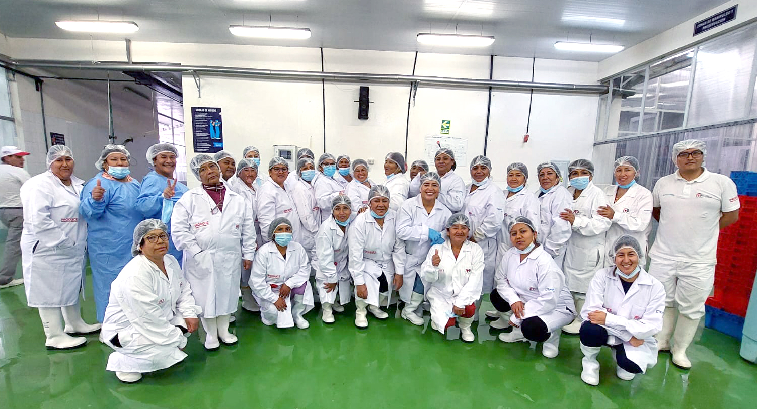 Mujeres de la pesca artesanal de Pisco y Paracas fortalecen sus ...